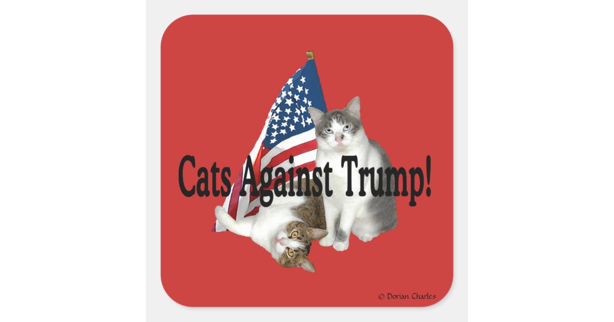 "Cats Against Trump" Stickers | Zazzle