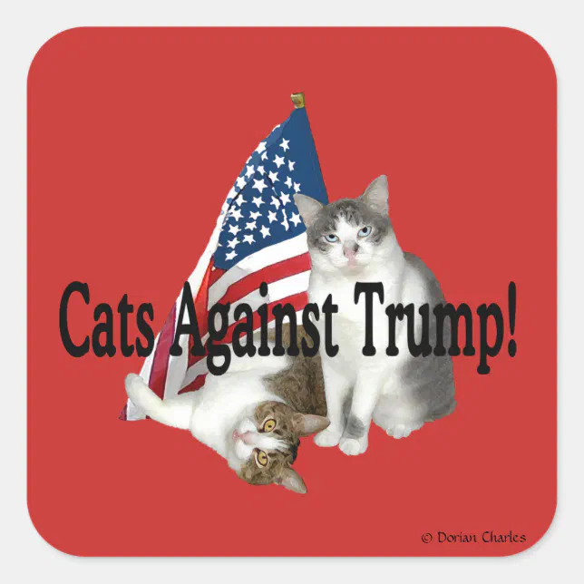 "Cats Against Trump" Stickers | Zazzle