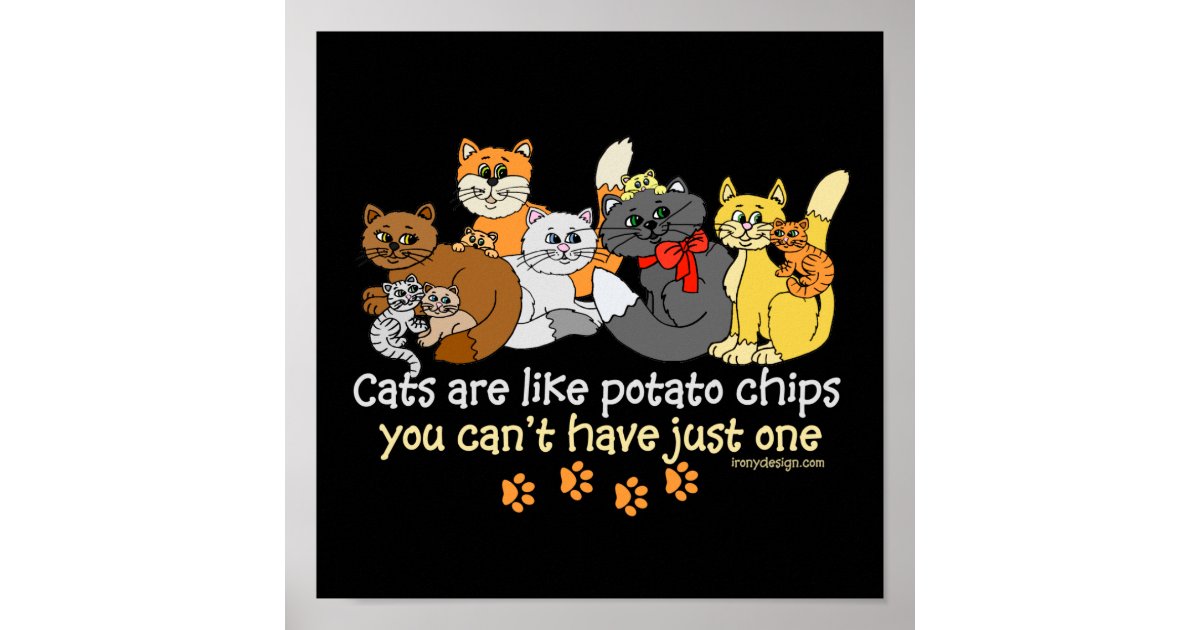 Cats are like potato chips poster | Zazzle