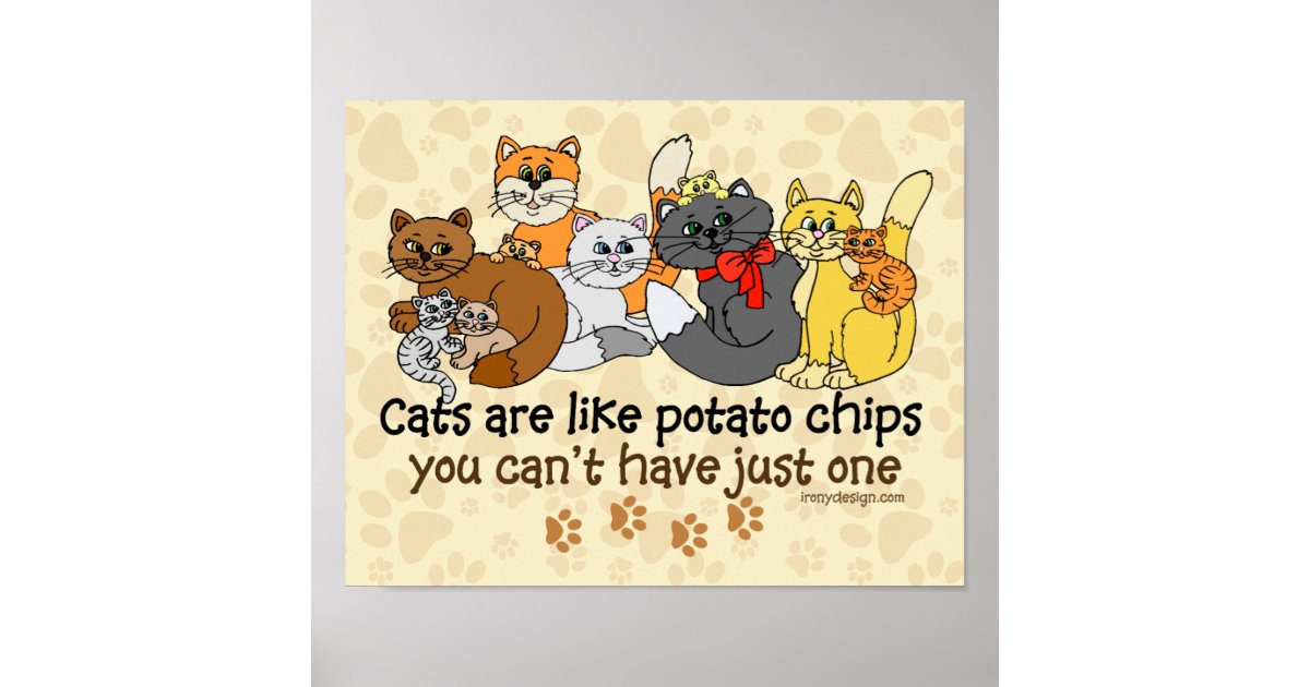 Cats are like potato chips poster | Zazzle