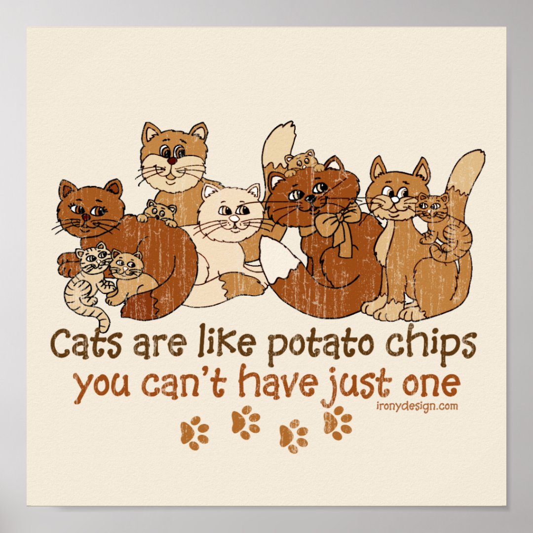 Cats are like potato chips poster | Zazzle