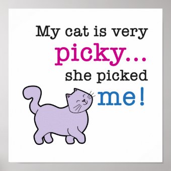 Cats Are Picky Funny Cat Saying Poster | Zazzle