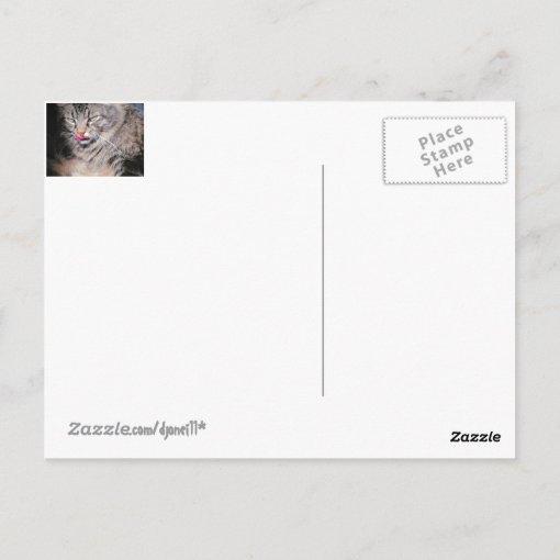 Cats Are Superior Meme Postcard | Zazzle