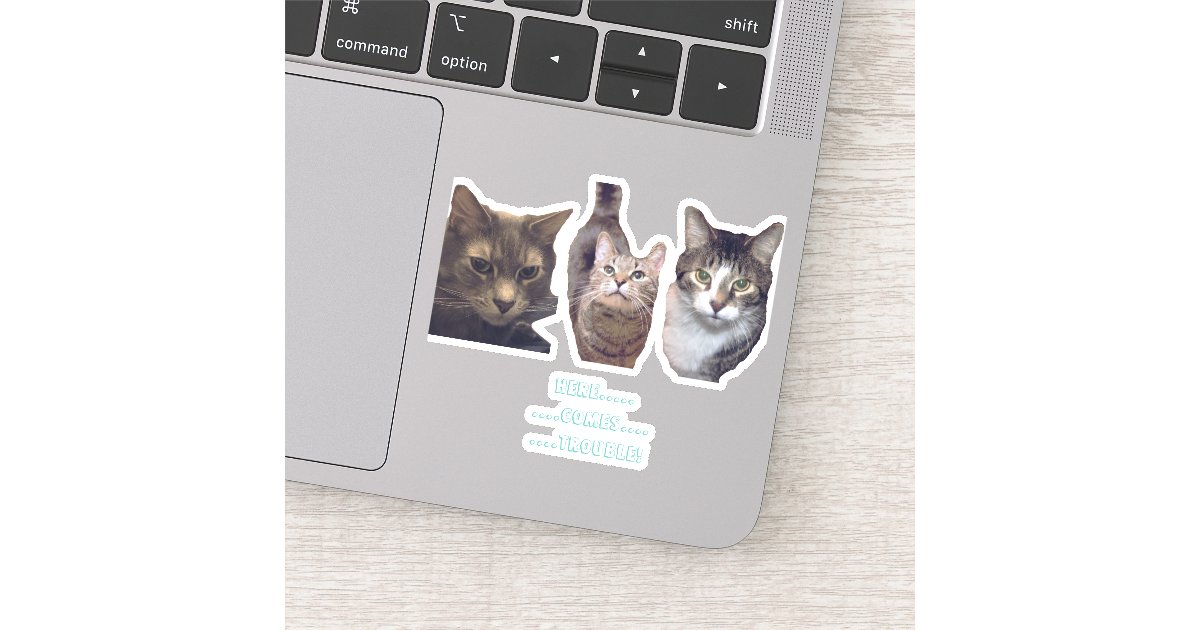 Cats Custom-Cut Vinyl Sticker | Zazzle
