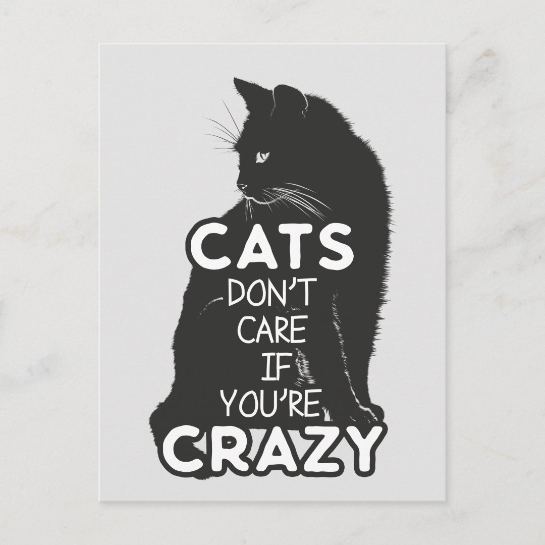 Cats Don't Care if You're Crazy Postcard | Zazzle