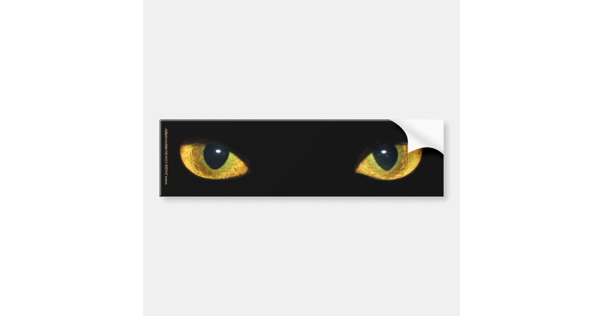 CAT'S EYES BUMPER STICKER | Zazzle