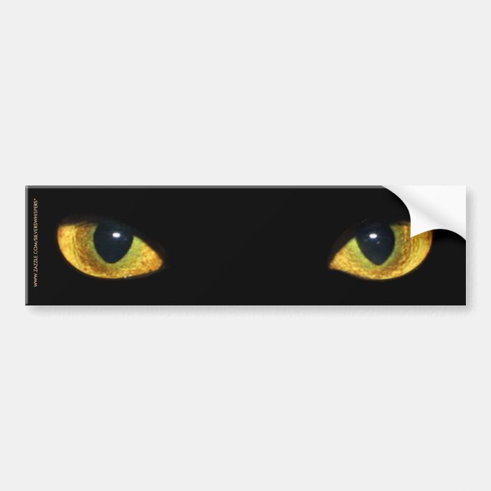 CAT'S EYES BUMPER STICKER | Zazzle.com