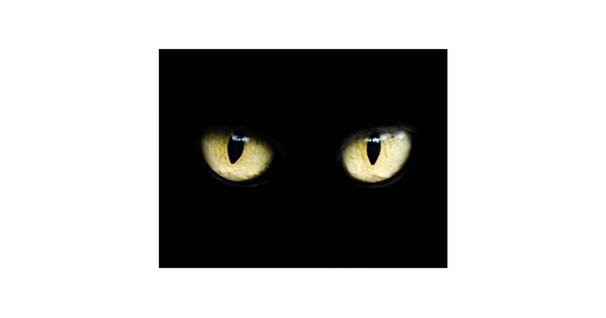 Cat's Eyes Postcard | Zazzle.com