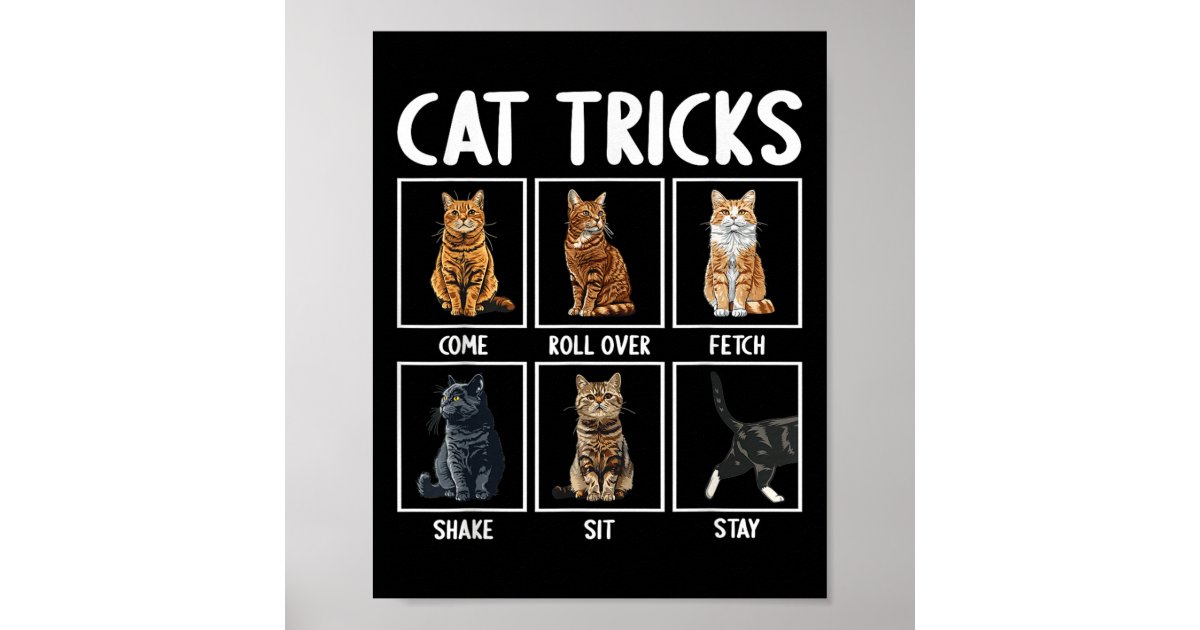 Cats Funny Cat Tricks Poster | Zazzle