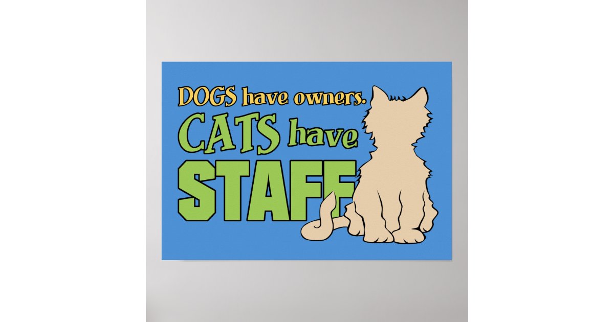 CATS HAVE STAFF custom poster | Zazzle