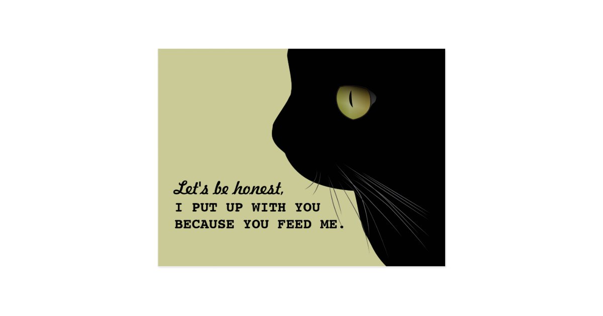 Cats Honest Attitude Funny Postcard | Zazzle.com