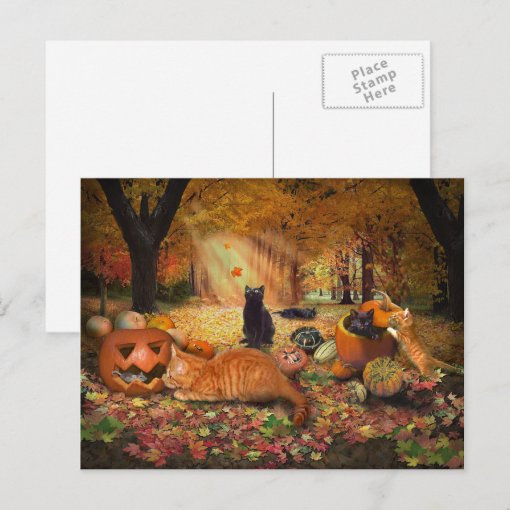 Cats in Autumn Postcard | Zazzle