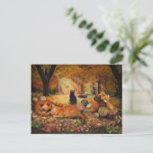 Cats in Autumn Postcard | Zazzle