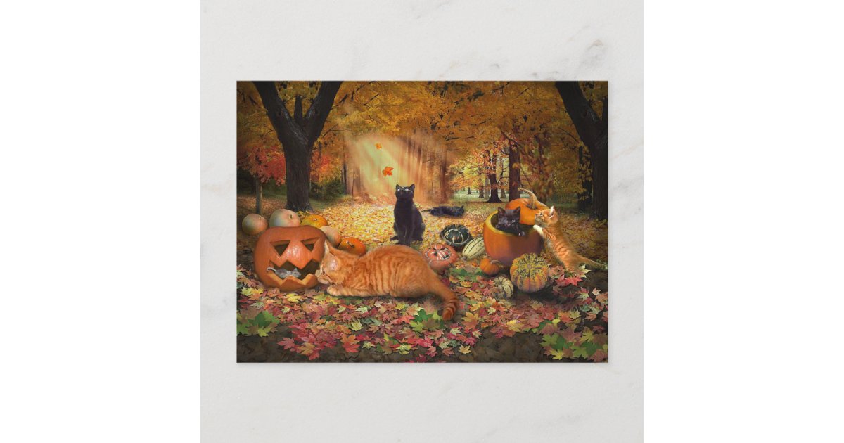 Cats in Autumn Postcard | Zazzle