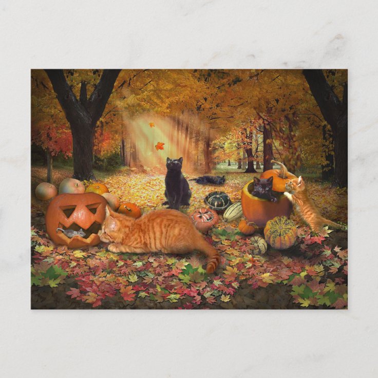Cats in Autumn Postcard | Zazzle