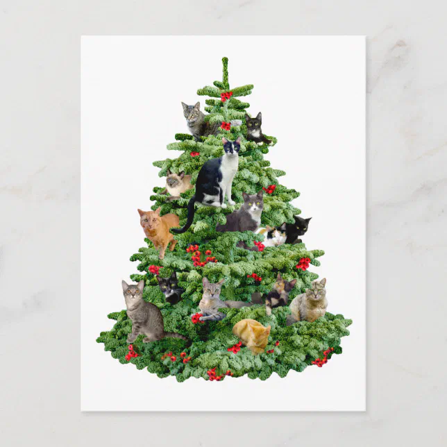 Cats in Tree Postcard | Zazzle