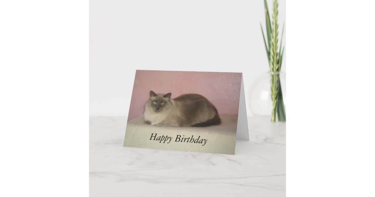 Cat's Meow Birthday Card | Zazzle
