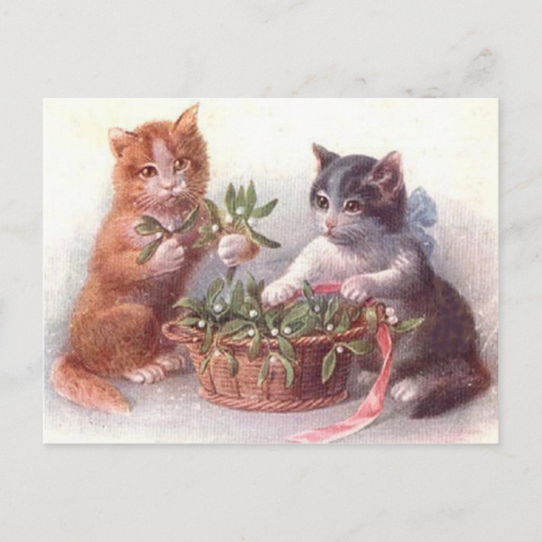 Cats & Mistletoe Postcard | Zazzle