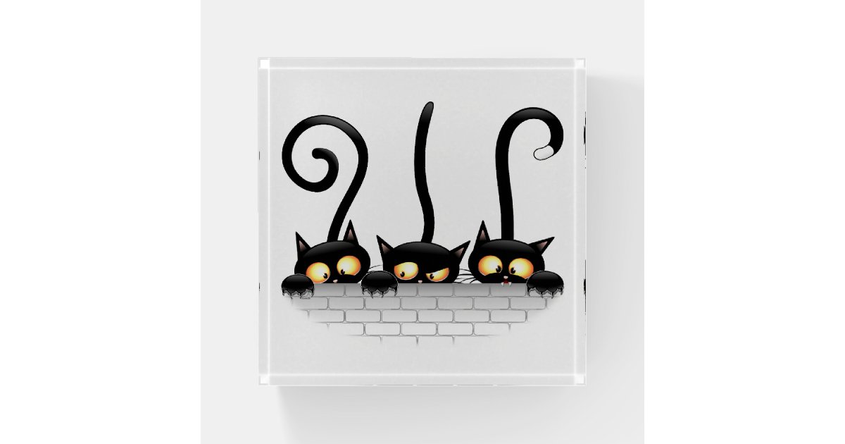 Cats Naughty, Playful and Funny Characters Paperweight | Zazzle