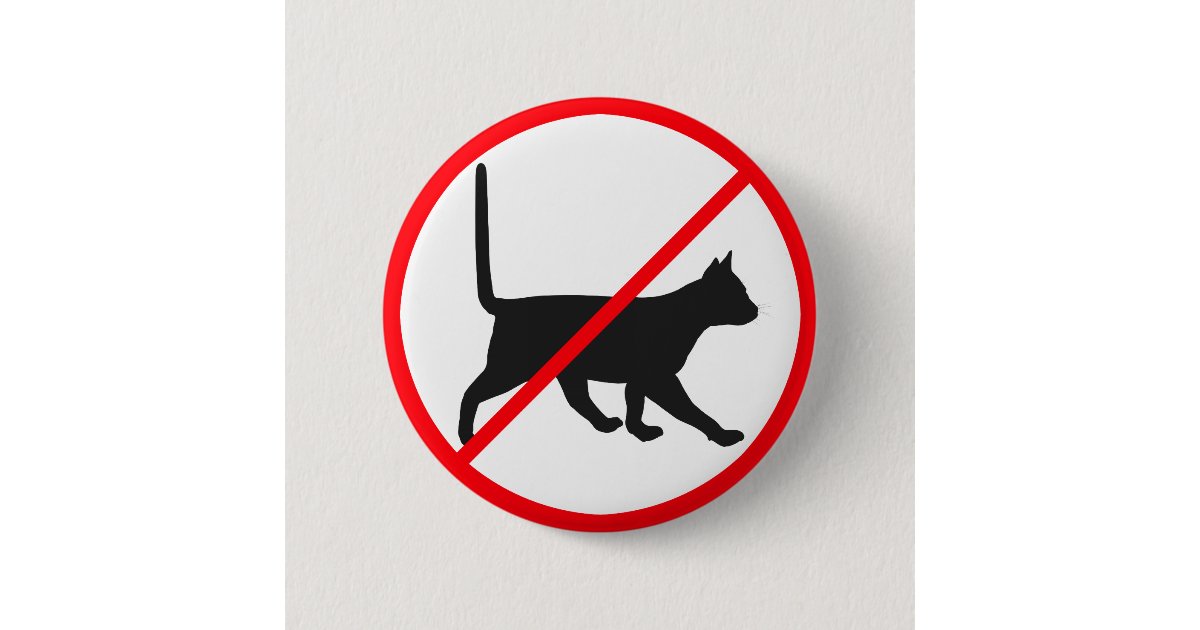 Cats Not Allowed! Pinback Button | Zazzle