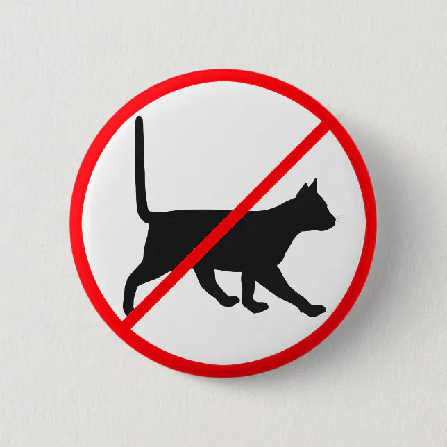 Cats Not Allowed! Pinback Button | Zazzle
