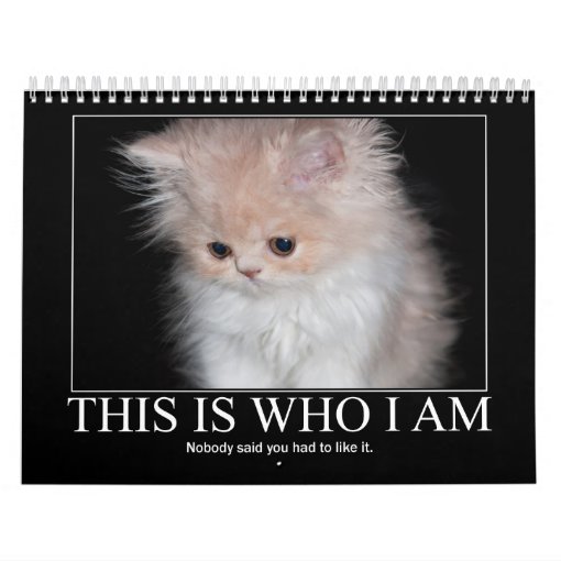 Cats Philosophy Calendar | Zazzle