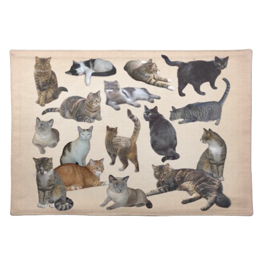 Cats Placemat | Zazzle.com