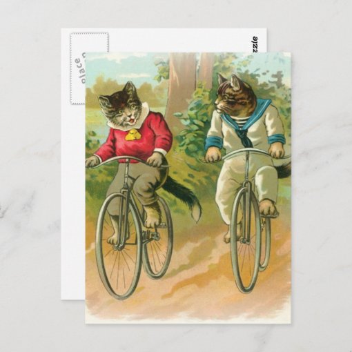Cats Riding Bikes Postcard | Zazzle