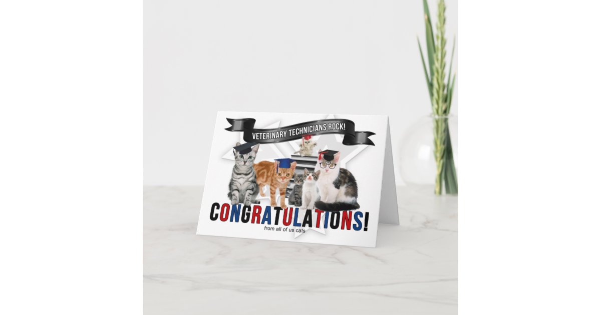 CATS Vet Tech RVT Graduate Congratulations Card | Zazzle