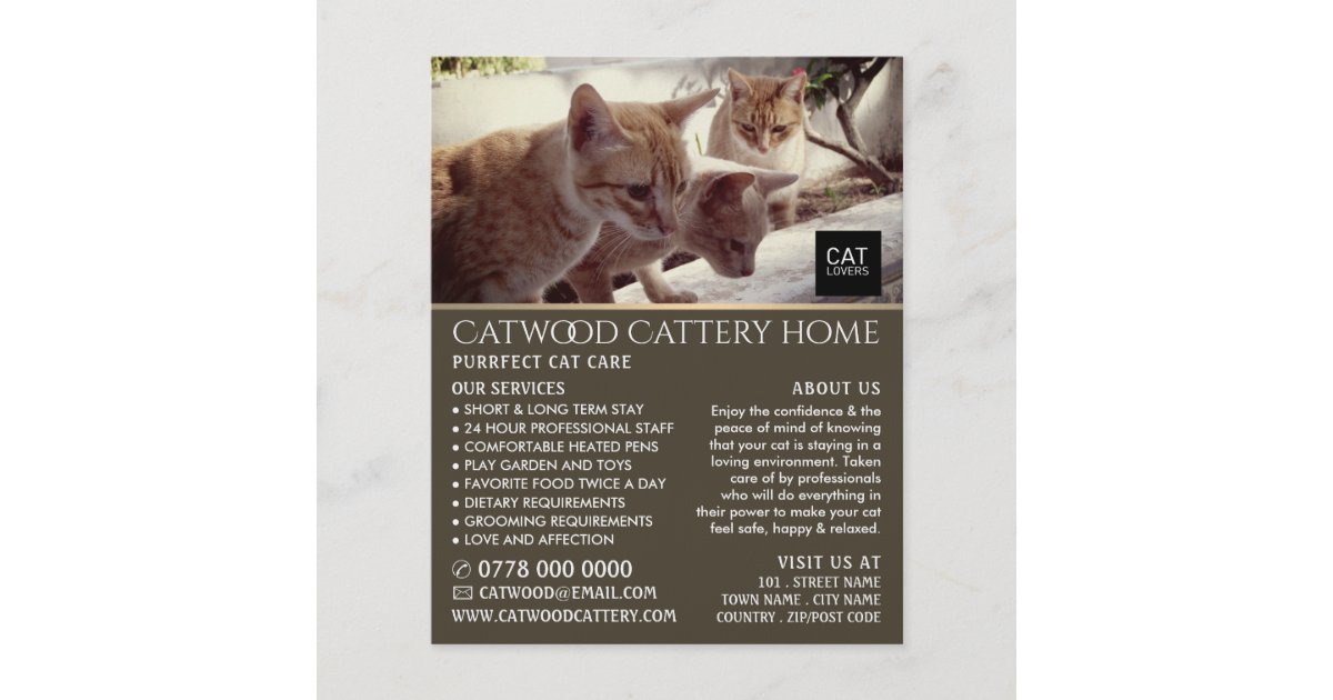 Cattery, Pet Boarding Service, Advertising Flyer | Zazzle.com