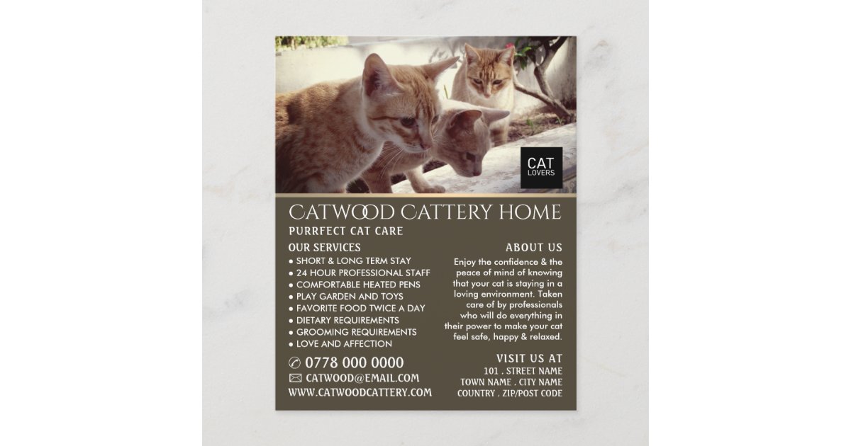 Cattery, Pet Boarding Service, Advertising Flyer | Zazzle