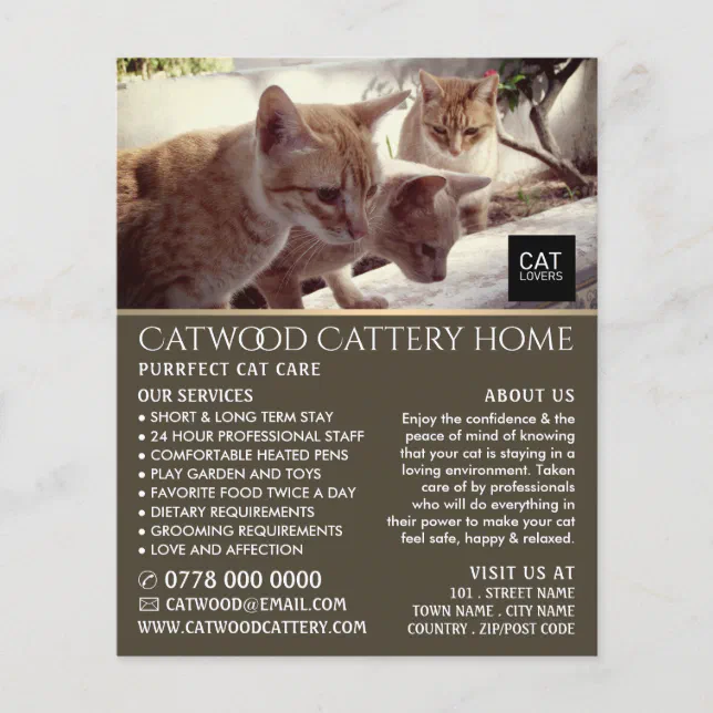 Cattery, Pet Boarding Service, Advertising Flyer | Zazzle