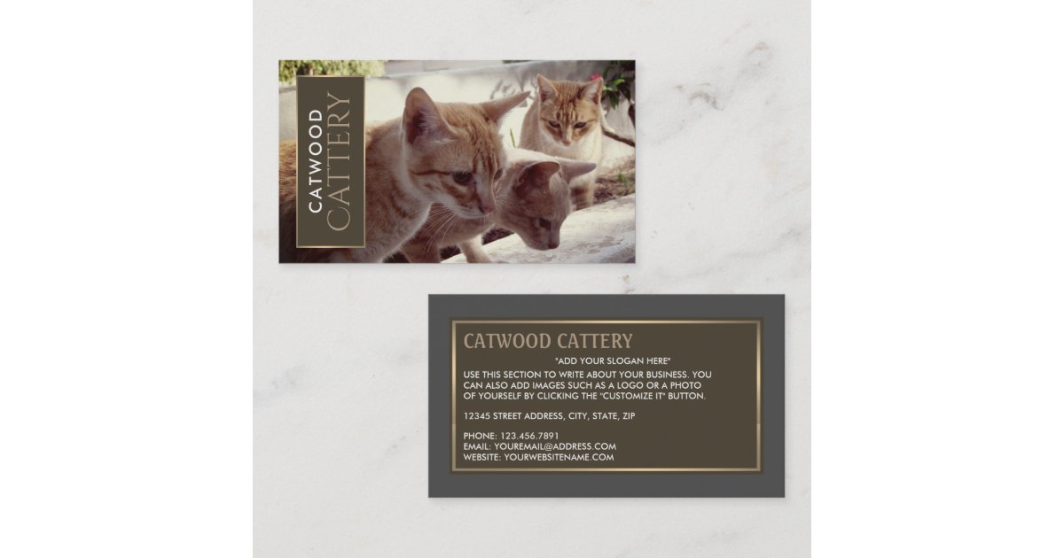Cattery, Pet Boarding Service Business Card | Zazzle