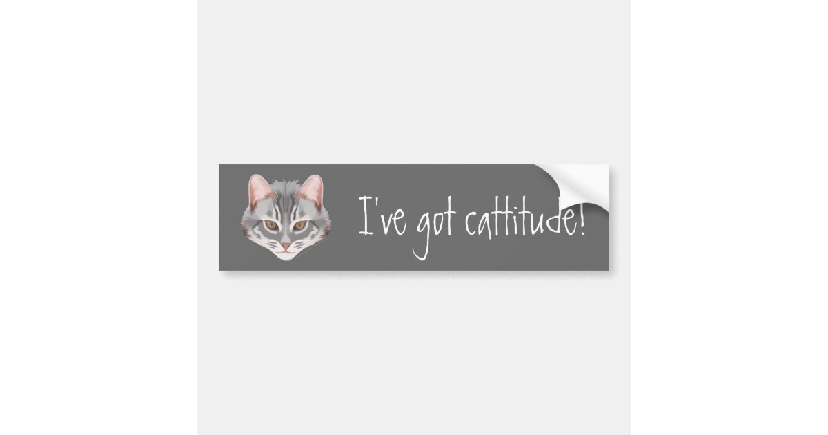 Cattitude Bumper Sticker | Zazzle