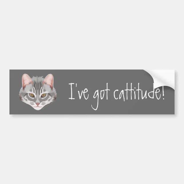 Cattitude Bumper Sticker | Zazzle