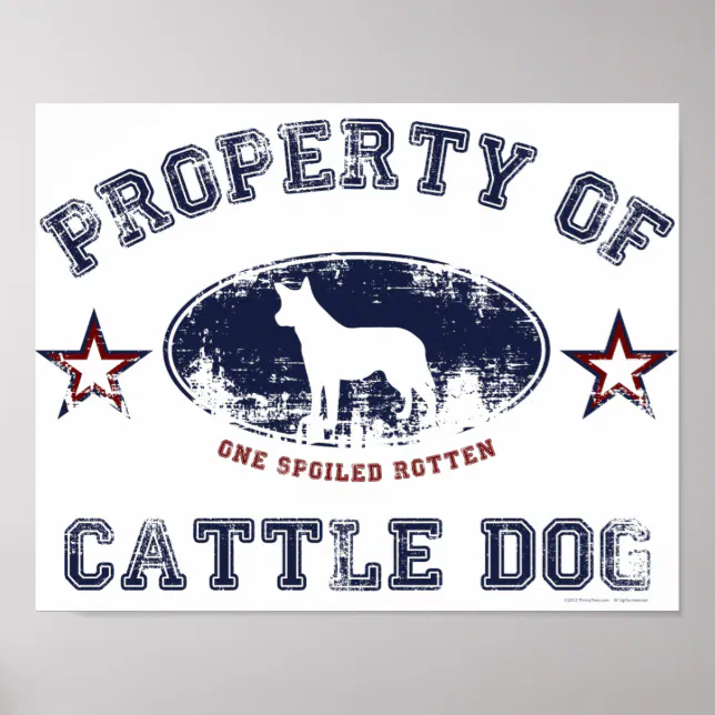 Cattle Dog Poster | Zazzle