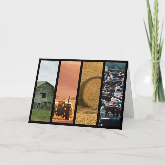 Cattle Farm Collage Thank You / Greeting Card | Zazzle