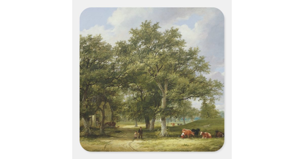 Cattle Grazing Square Sticker | Zazzle