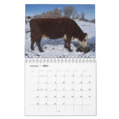 Cattle On The Ranch Calendar | Zazzle