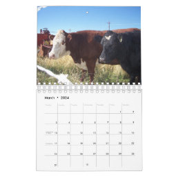 Cattle On The Ranch Calendar | Zazzle