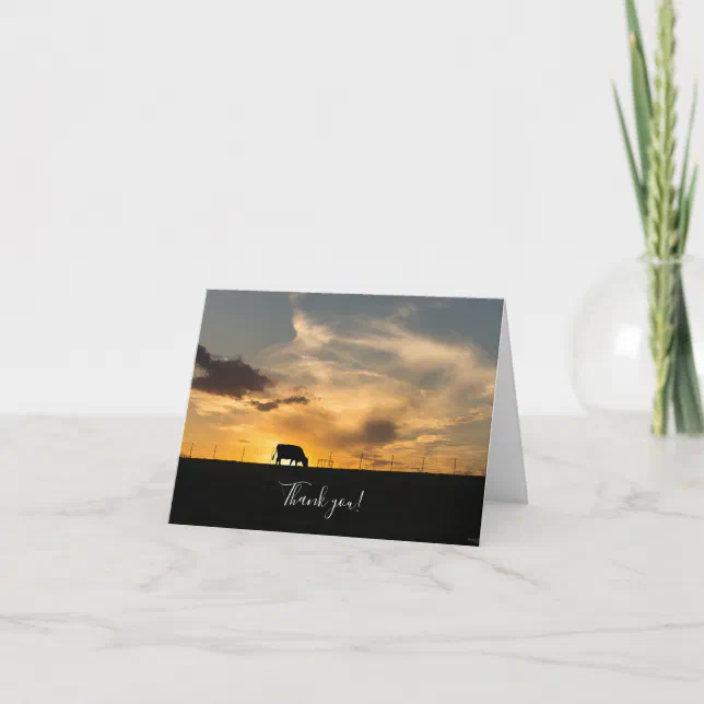 Cattle Sunset Silhouette Thank You Card | Zazzle