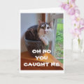 ***CAUGHT IN THE ACT*** HAPPY BIRTHDAY TO YOU CARD | Zazzle
