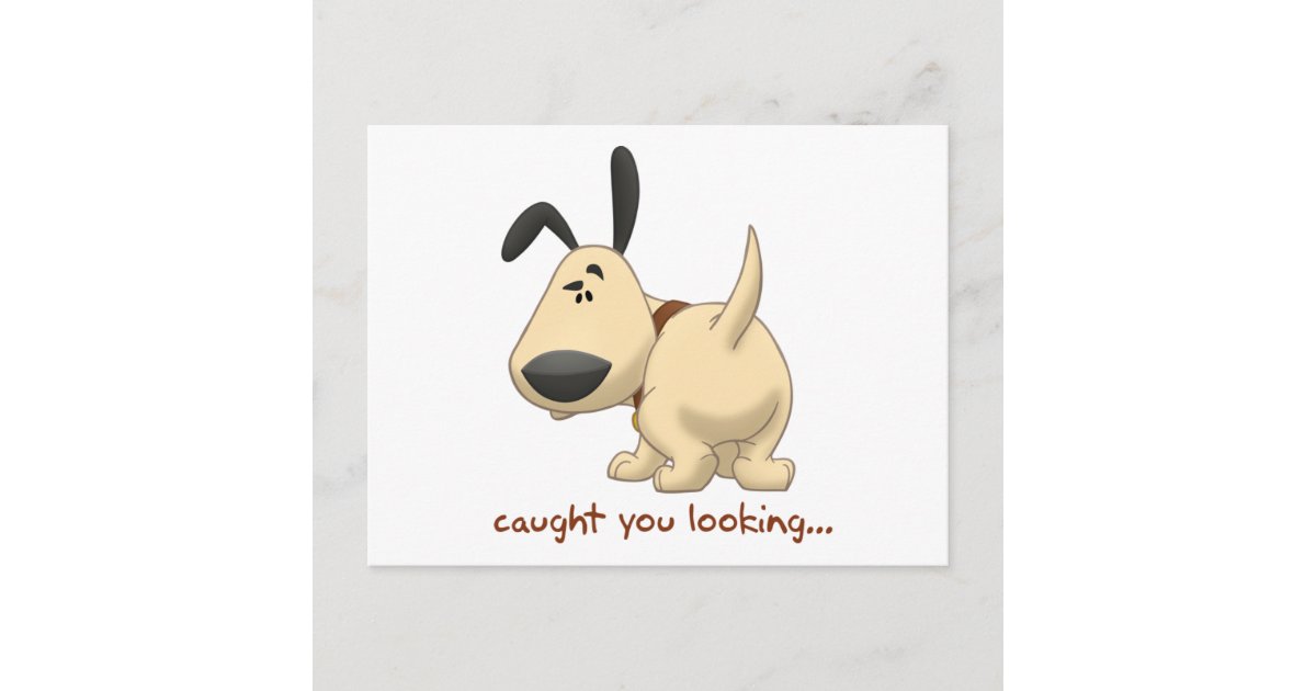 Caught You Looking Postcard | Zazzle
