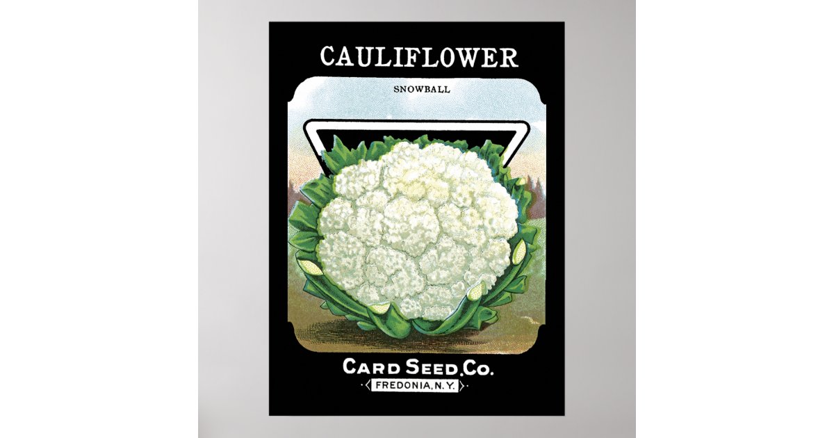 Cauliflower Seed Packet Label Poster | Zazzle