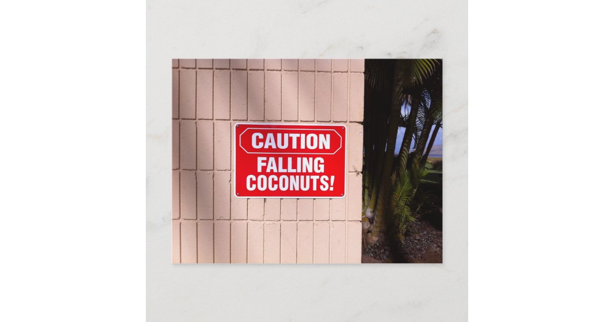 Caution - Falling Coconuts! Postcard | Zazzle