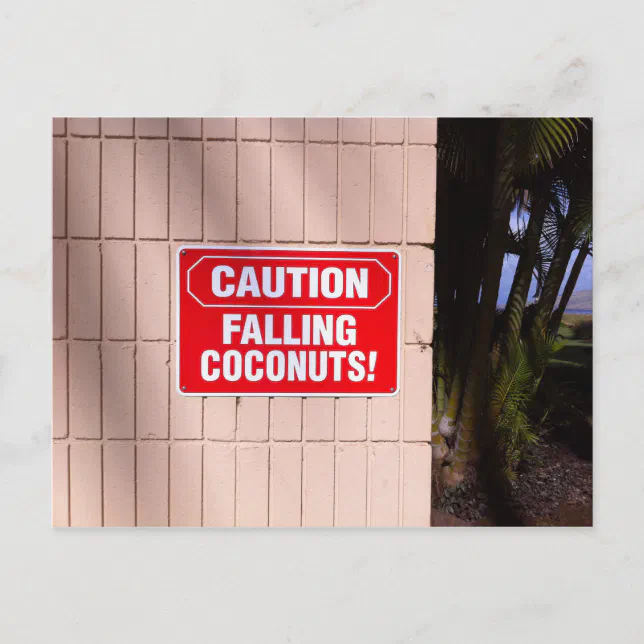 Caution - Falling Coconuts! Postcard | Zazzle