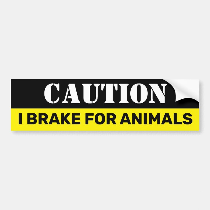 Caution I brake for animals Vegan Bumper Sticker | Zazzle.com