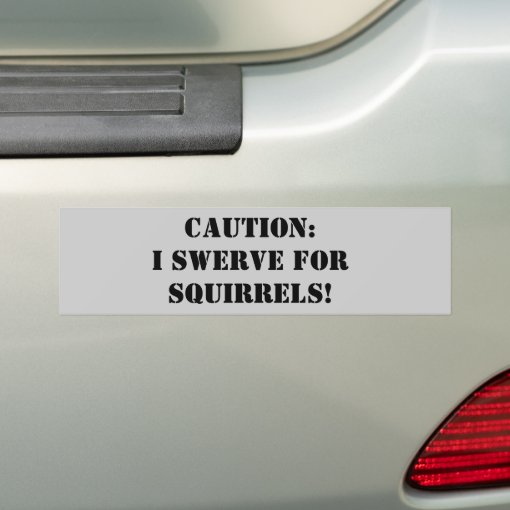 Caution: I swerve for squirrels! Bumper Sticker | Zazzle