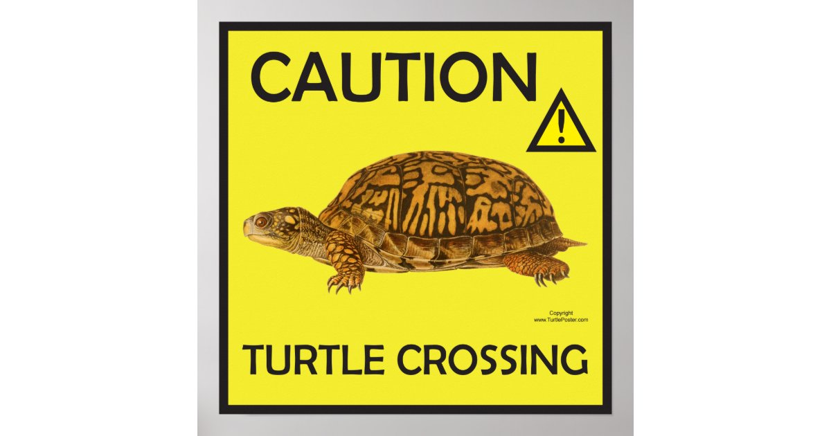 Caution Turtle Crossing Poster | Zazzle