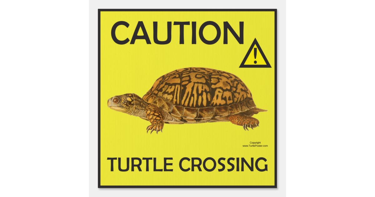 Caution Turtle Crossing Sign | Zazzle